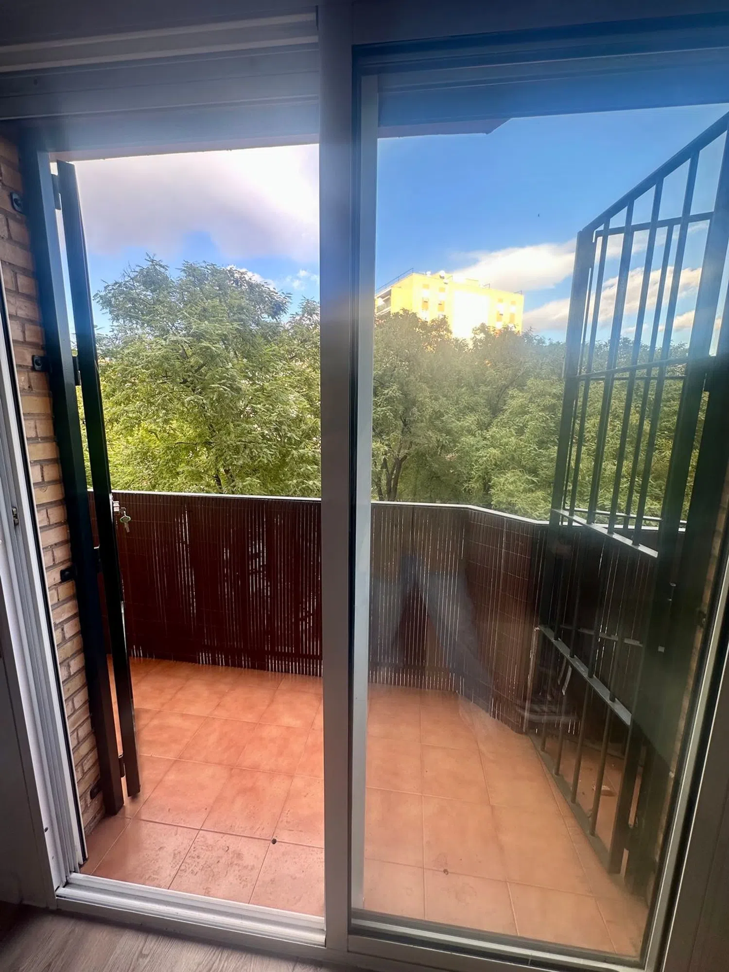 Alquiler de Piso en avenida Alcalde Juan Fernandez, 25, El Juncal - El ...